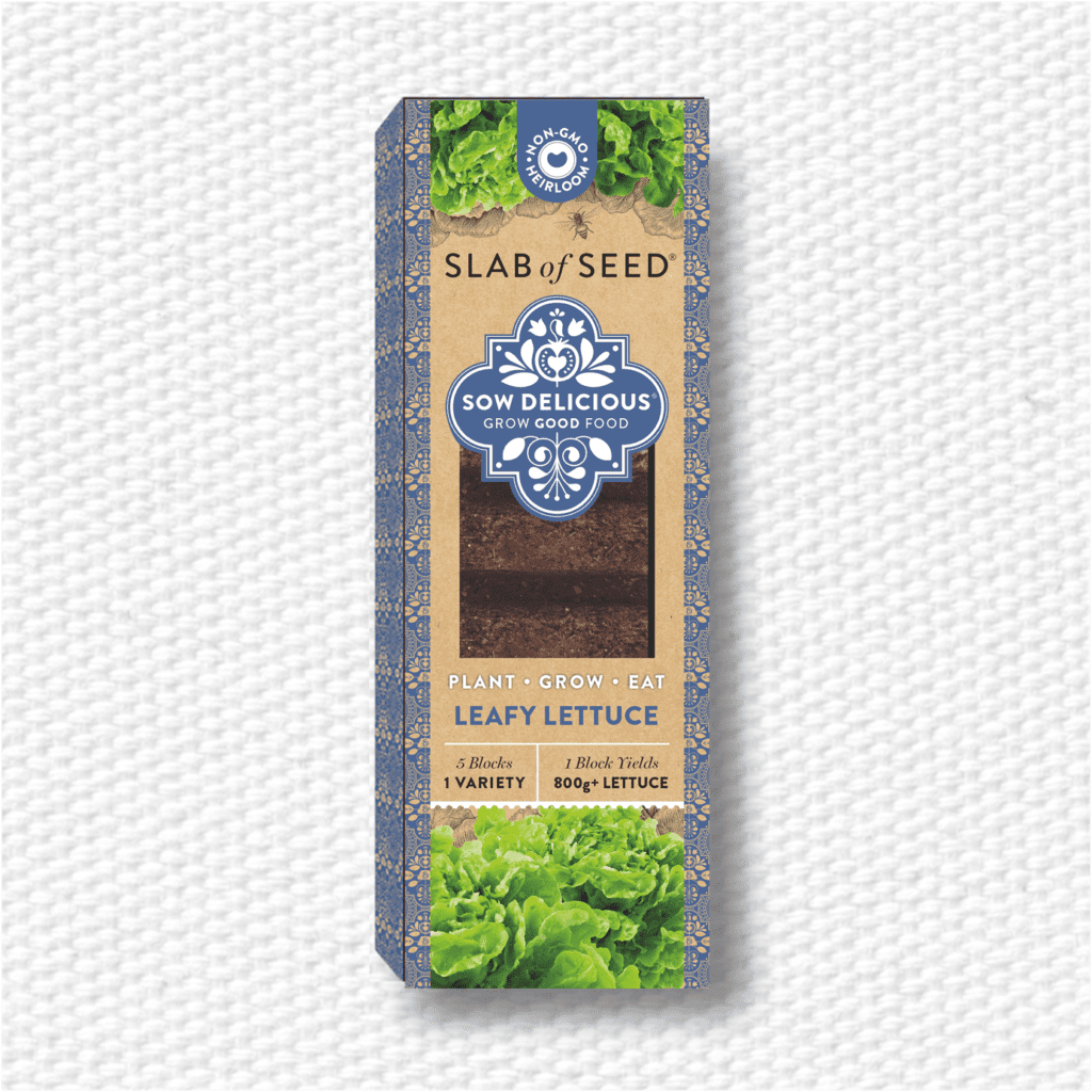 Pure Leafy Lettuce Sow Delicious