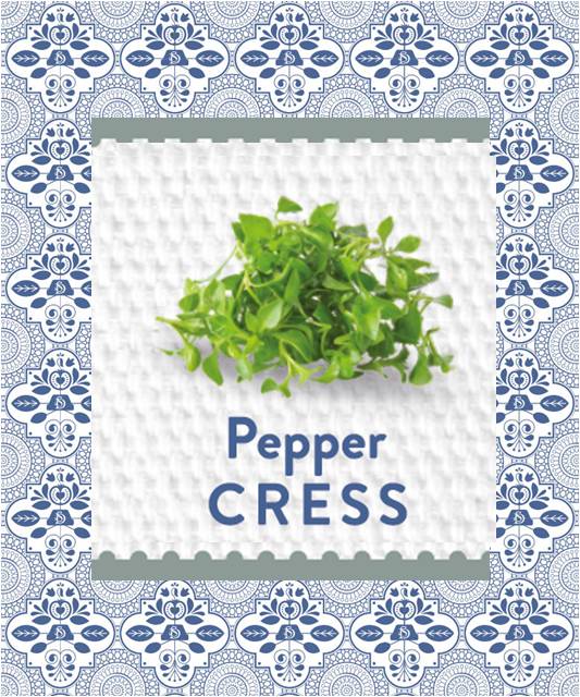 Spicy Salad Greens – Sow Delicious