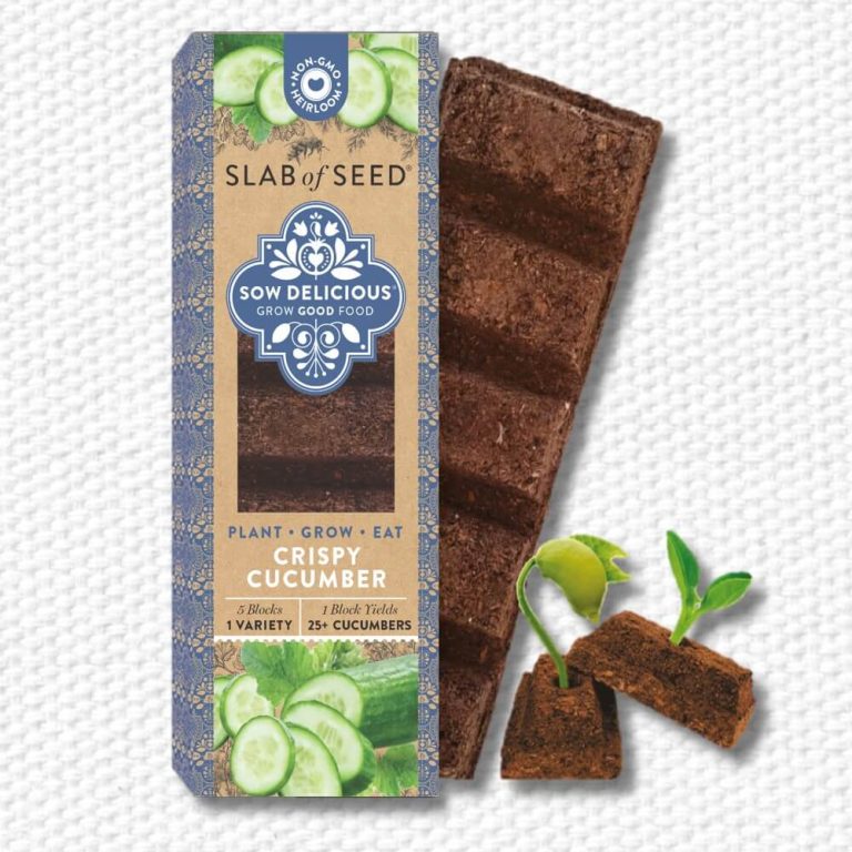 Pure Crispy Cucumber – Sow Delicious
