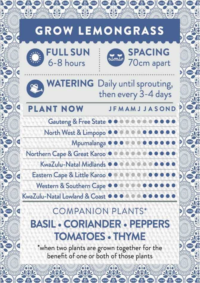 Pure Lemongrass – Sow Delicious